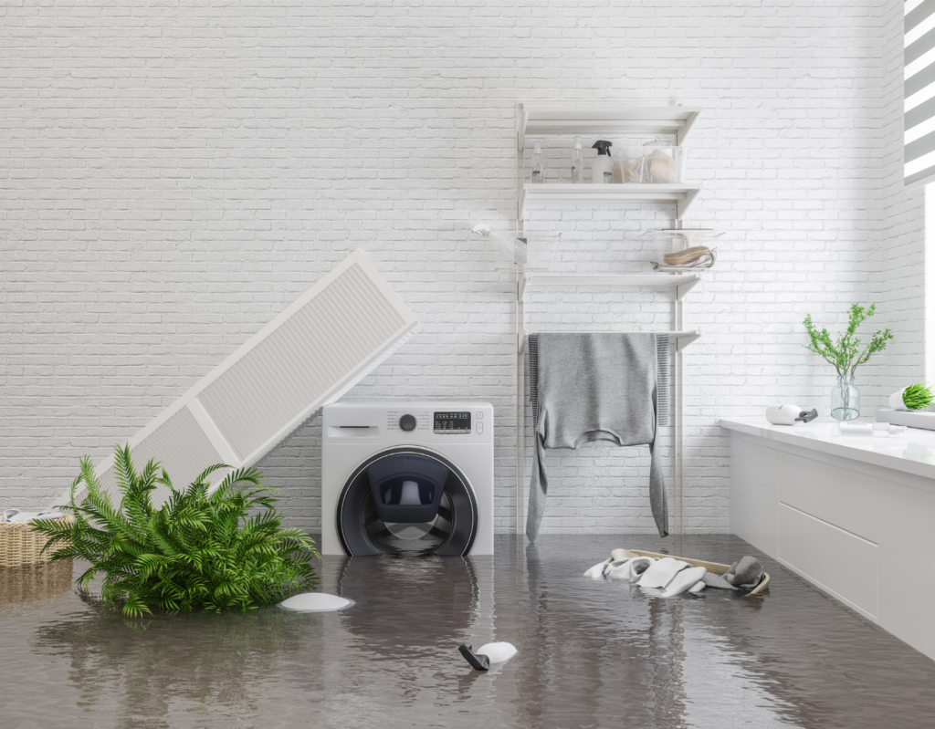 Natural Disaster Cleanup in Idaho Falls